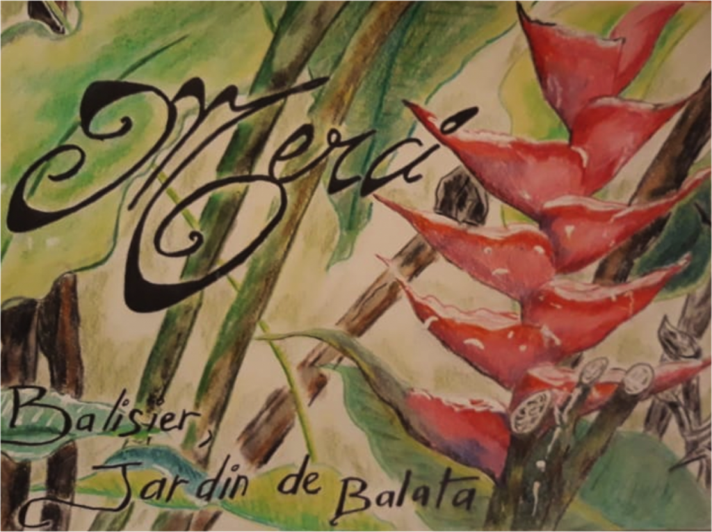 Le Balisier – Inspiration d'Ailleurs